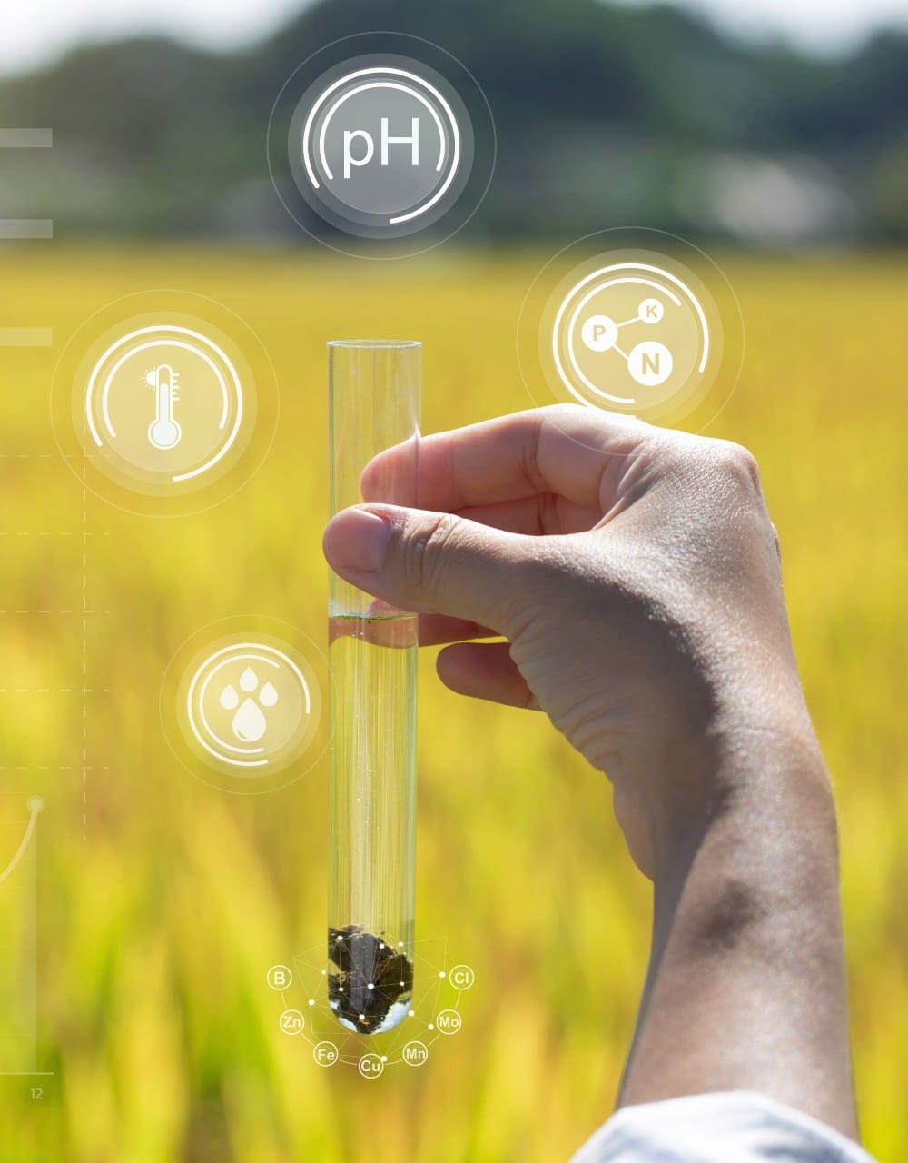 Importance of Soil Health and Soil Improvement In Agriculture | ICL