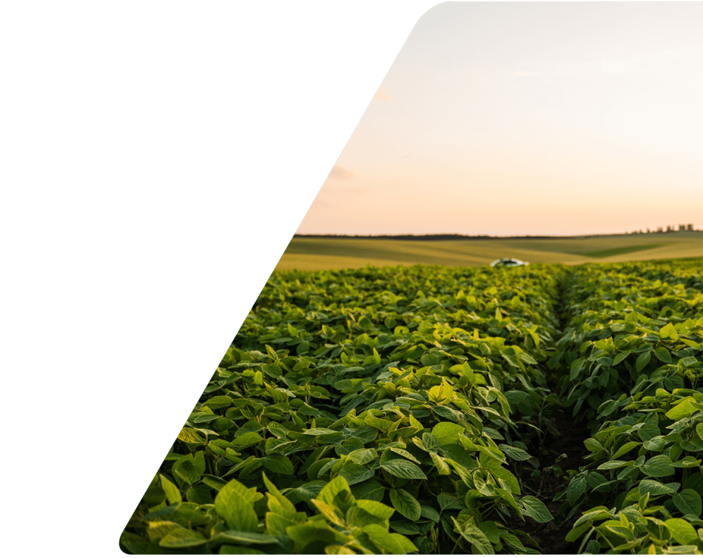 ICL Group: Global manufacturer of Specialty Minerals and Fertilizers
