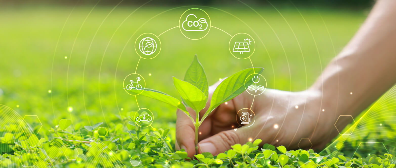 Climate Risk Disclosure: What It Means for Global Corporations | ICL